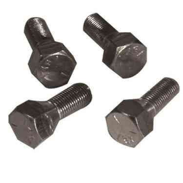 Carry-On Trailer Lug Bolt
