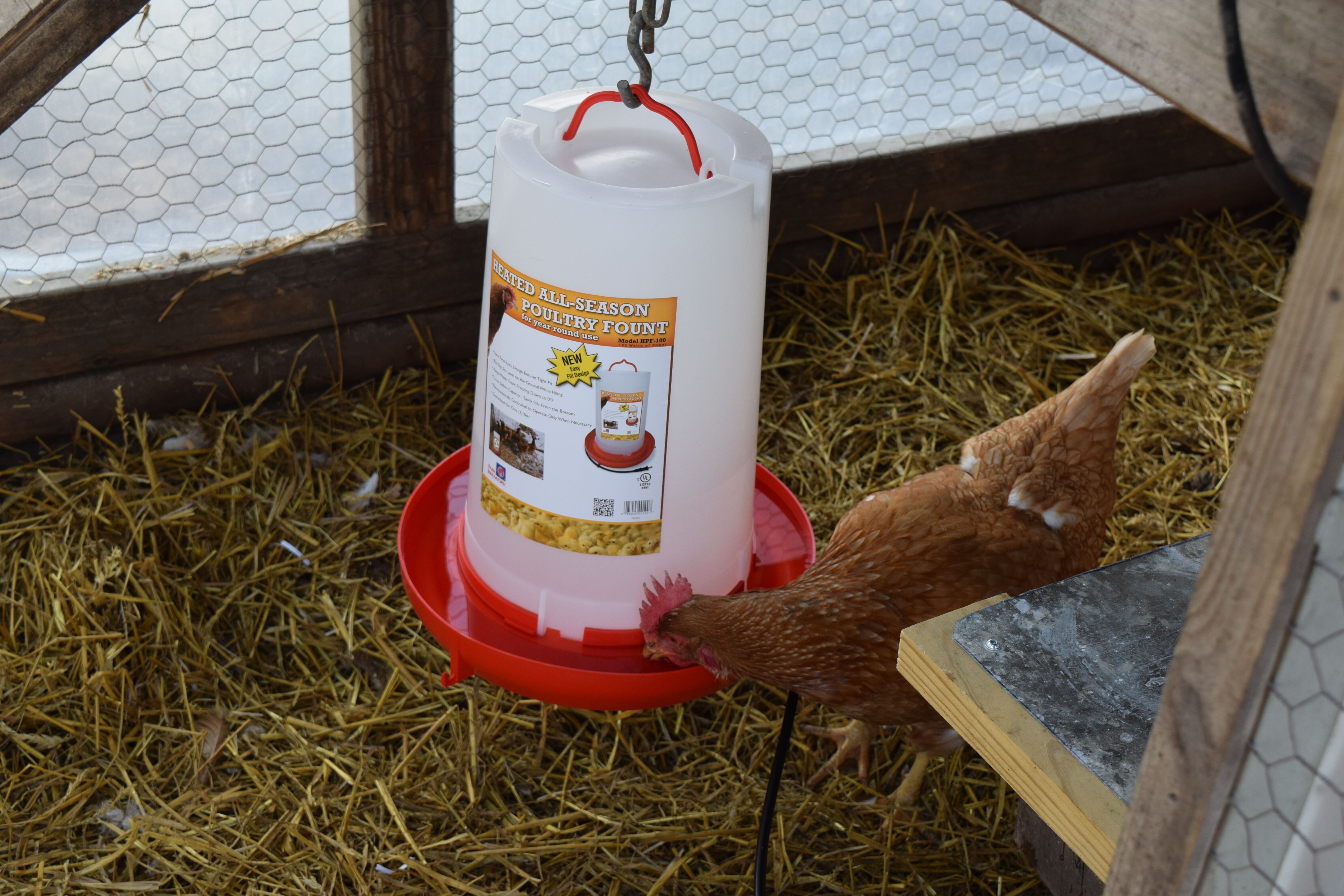 Farm Innovators 3 Gallon Heated Poultry Fountain - 100 Watts