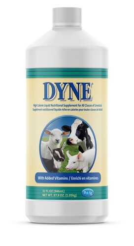 Pet Ag Dyne High Calorie Liquid Nutritional Supplement for Livestock ...