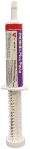 Vets Plus Probiotic Plus Paste - 80 cc Tube