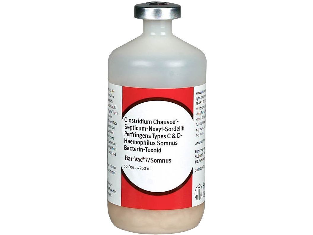 Boehringer Ingelheim Bar-Vac CD/T - 250 ml