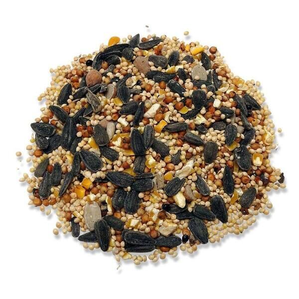 Premium Songbird Blend Birdseed