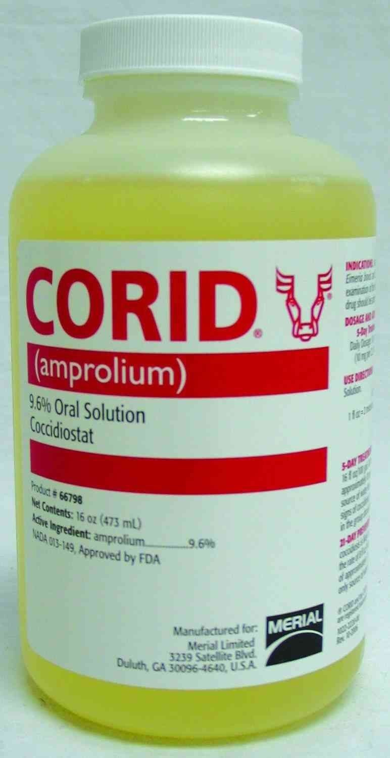 Merial Corid (amprolium) 9.6% Oral Solution Coccidiostat - 16 oz