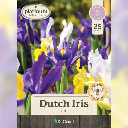 DeGroot Dutch Iris Mix 25 Bulbs