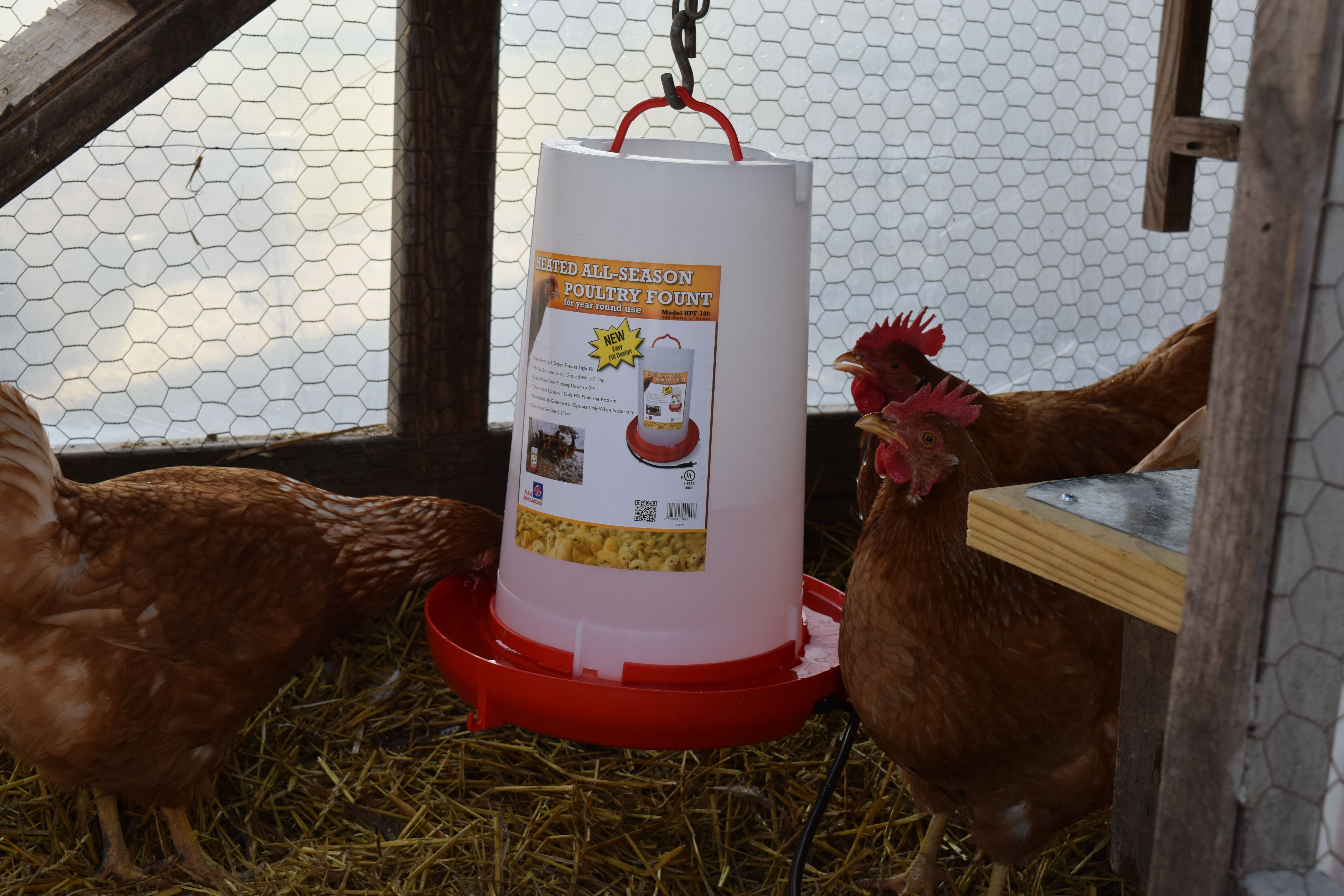 Farm Innovators 3 Gallon Heated Poultry Fountain - 100 Watts