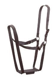 Coburn Ewe Marking Harness