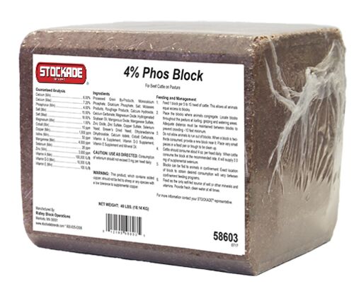 All Stock Feed