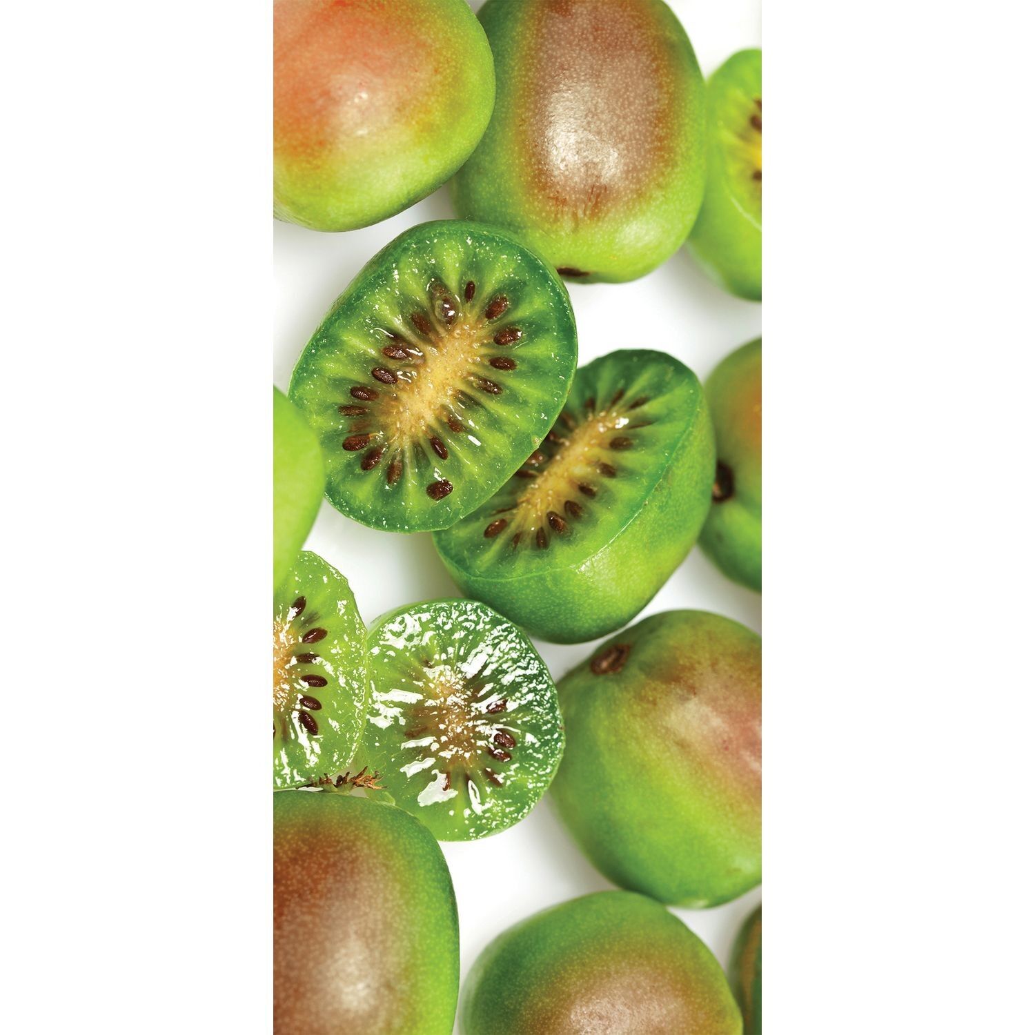 DeGroot Kiwi Prolific Fruit Plant