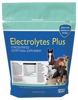 Sav-A-Caf Electrolytes Plus Multi-Species Nutritional Supplement